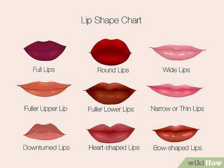 Types Of Lips With Pictures And Names And Pictures Infoupdate Org