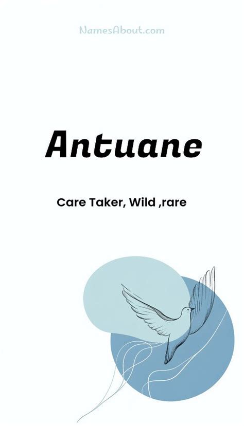 Antuane Name Meaning And Origins Nicknames Sibling Ideas