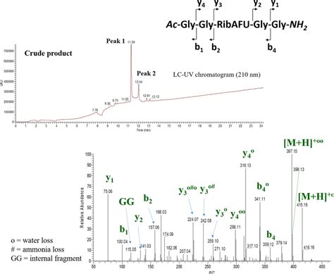 Hilic Lc Uv Ms Chromatogram Of Ac Gg Ribafu Gg Nh2 16 And Hcd Ms Ms Download Scientific