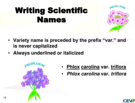 How To Type Scientific Names