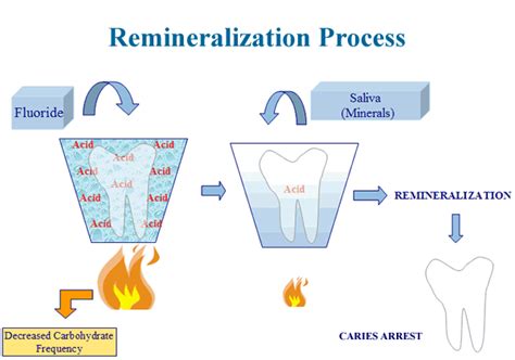Delaying And Reducing Tooth
