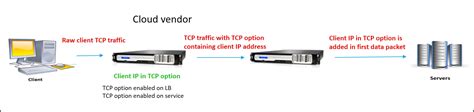 Client Ip Address In Tcp Option Netscaler 14 1