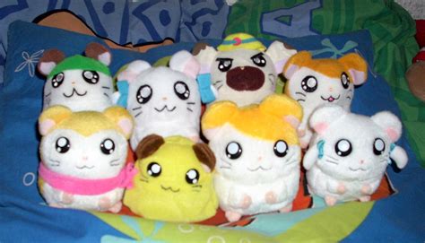 Hamtaro Plush Collection Update 2 By Kratosisy On Deviantart