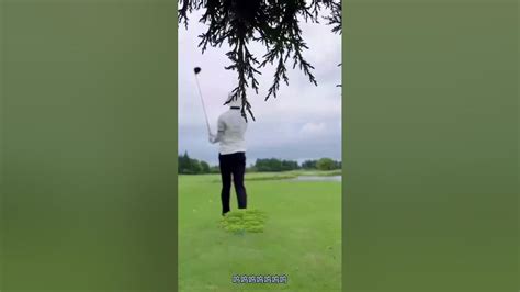 张哲瀚 途 再来回顾下那一小片移动的草坪 Youtube