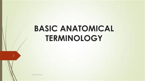 Basic Anatomical Terminology Ppt