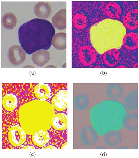 Dataset Samples A Rgb B Hsv C Lab And D Ycbcr Download