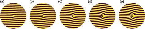 Generation And Decomposition Of Scalar And Vector Modes Carrying Orbital Angular Momentum A Review