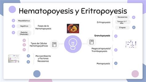 Hematopoyesis Y Eritropoyesis