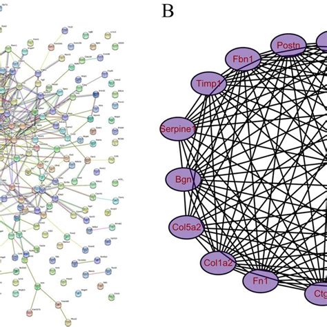 Ppi Network Construction And Modules Analysis A The Ppi Network