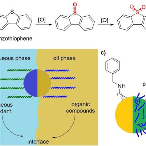 A An Example For The Oxidative Desulfurization Of Dibenzothiophene B