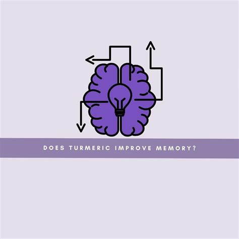 Does Turmeric Improve Memory Here Are Science Backed Facts Neuro Section