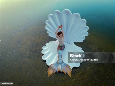 巨大な貝殻を持つ人魚のような美しい赤毛の女性 おとぎ話のストックフォトや画像を多数ご用意 おとぎ話 プリンセス 浜辺 Istock