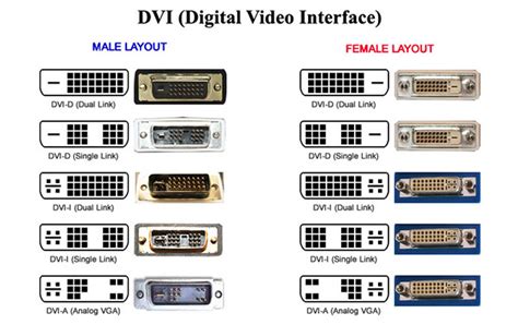 1 Cổng Dvi Là Gì And Các Loại Cổng Dvi Phổ Biến Hiện Nay