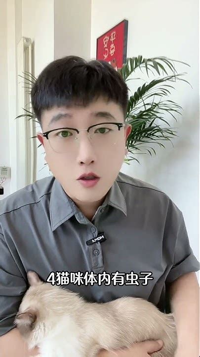 养猫一定要知道，这8个养猫小技巧。让你养猫省钱更省心。if You Want To Raise A Cat You Must Know