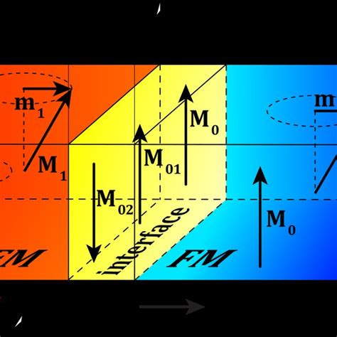 A Schematic Representation Of Two Sublattice Afm The Interface Of Download Scientific Diagram