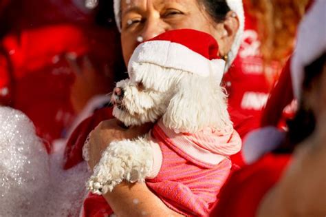 Gosh So Many Santas Running India News