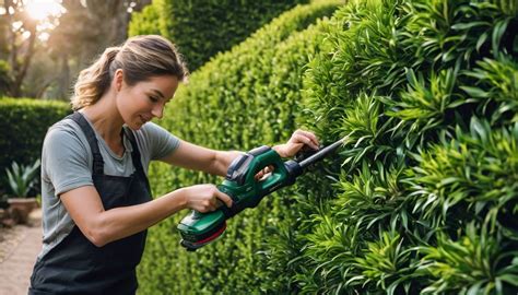 How To Thicken Up Lilly Pilly Hedge A Complete Guide For Aussie