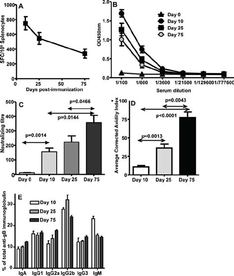 Hcmv Specific Effector And Memory Cellular And Humoral Immune Responses