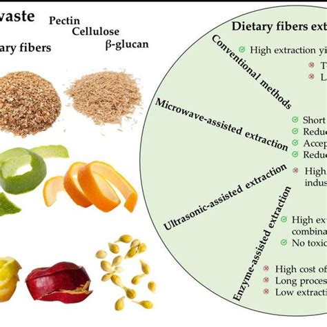 Conventional And Green Extraction Techniques Utilized For Extraction Of Download Scientific