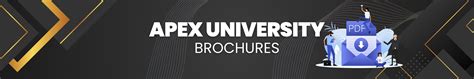 Apex University Best University Recognized By Ugc Rajasthan