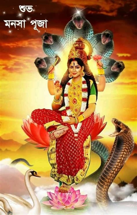 মনসার ধ্যান মন্ত্র — Bharat Rituals