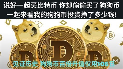 我买的狗狗币暴涨了7倍 看看我赚了多少钱 Youtube