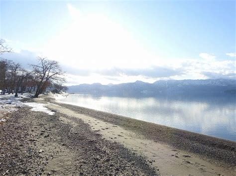 砂湯 オオハクチョウ Whooper Swan Kawayu Emc スタッフのひとコマ（弟子屈町・川湯温泉・阿寒摩周国立公園・屈斜路