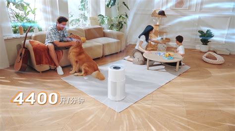 宠物空气净化器视频tvc珀珀宠影 站酷zcool