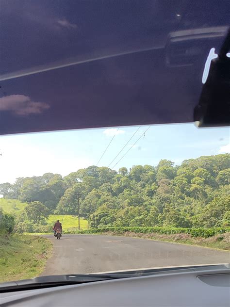 Deep Think R1 A Deepseek Reasoning Model By Elle Maya Medium