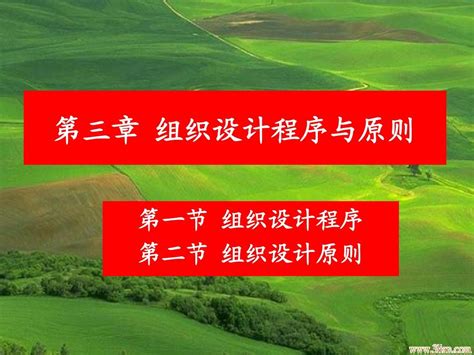第三章 组织设计的程序与原则word文档在线阅读与下载无忧文档