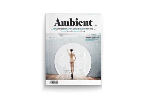 Ambient Issue 102 Fonts In Use