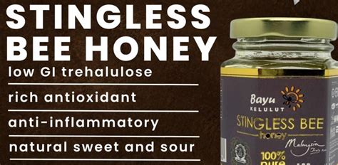 Australian Native Stingless Bee Services Bayu Australia