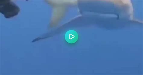 Youre A Braver Man Than I Gunga Din Album On Imgur