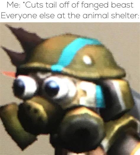 Nibelsnarf Palico Armor Looks Funny Rmonsterhunter