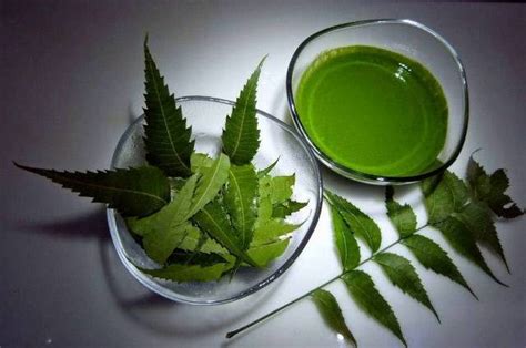 10 Natural Remedies To Cure Scalp Acne Dermamantra