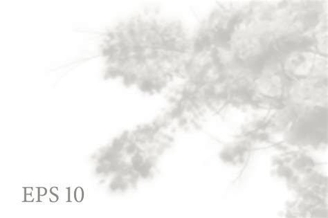 투명 자연 나뭇 가지 그림자 라이트 효과 오버레이 메시 그리드 디자인 카드 포스터 사진 사실적인 일러스트 를 발표 0명에 대한