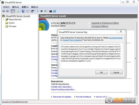 Visualsvn License Key Appshunter