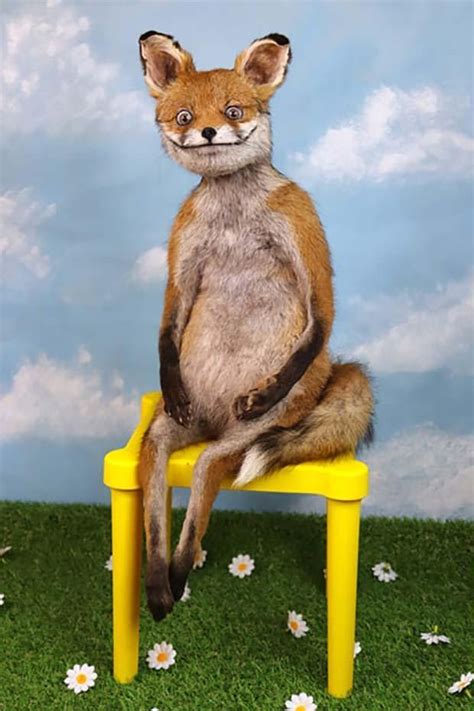 Bad Taxidermy Fox 