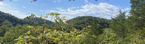 Trail Among The Trees And Rock Quarry Trail Missouri 469 Reviews