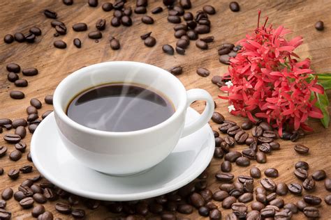 Premium-Coffee | TripCanvas Malaysia Travel Deals