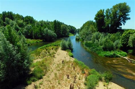 Premium Photo Esla River In Valencia De Don Juan Beauty In Nature