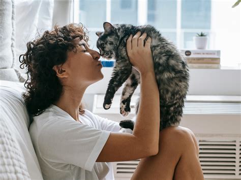 8 Questions To Ask Your Vet If Your Cat Is Hyperthyroid — Catt Centers For Advanced Thyroid