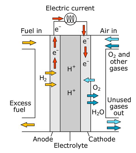 3 Schematic Drawing Of A Pem Fuel Cell Download Scientific Diagram