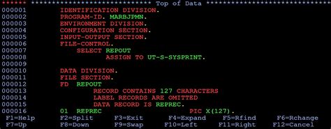 Beginners Guide Cobol Made Easy By Jessielaine Punongbayan Modern
