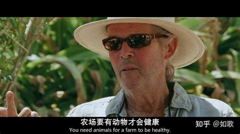 美国纪录片《最大的小小农场》和《最大的小小农场：回归》 知乎