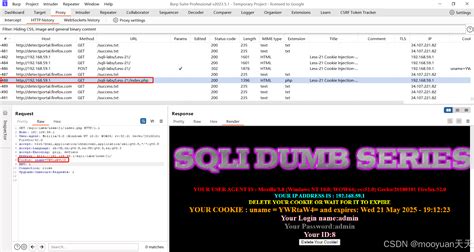 Sqli Labs通关笔记 第21关 字符型header Cookie Sql注入单引号括号闭合 Base64编码绕过 手工注入脚本注入两种方法 Csdn博客