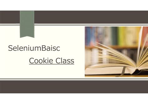 Seleniumbasic Cookieclass クッキー情報の取得 Programan