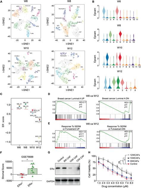 Single‐cell Sequencing Reveals That Cafs Are Associated With Poor