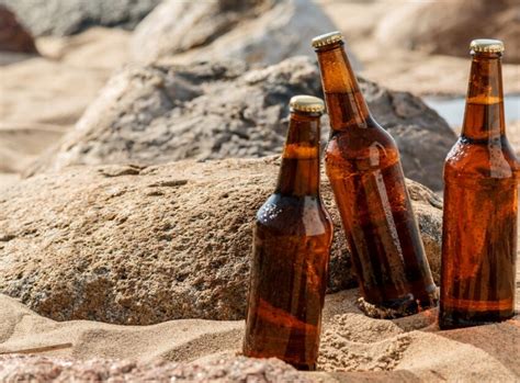 How Long Does Beer Last In The Fridge From Fresh To Flat