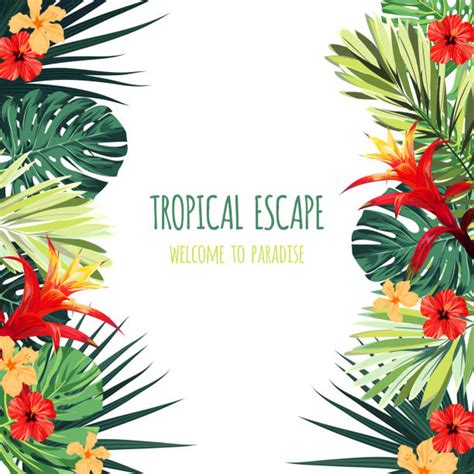 32600 Flores Hawaianas Ilustraciones De Stock Gráficos Vectoriales